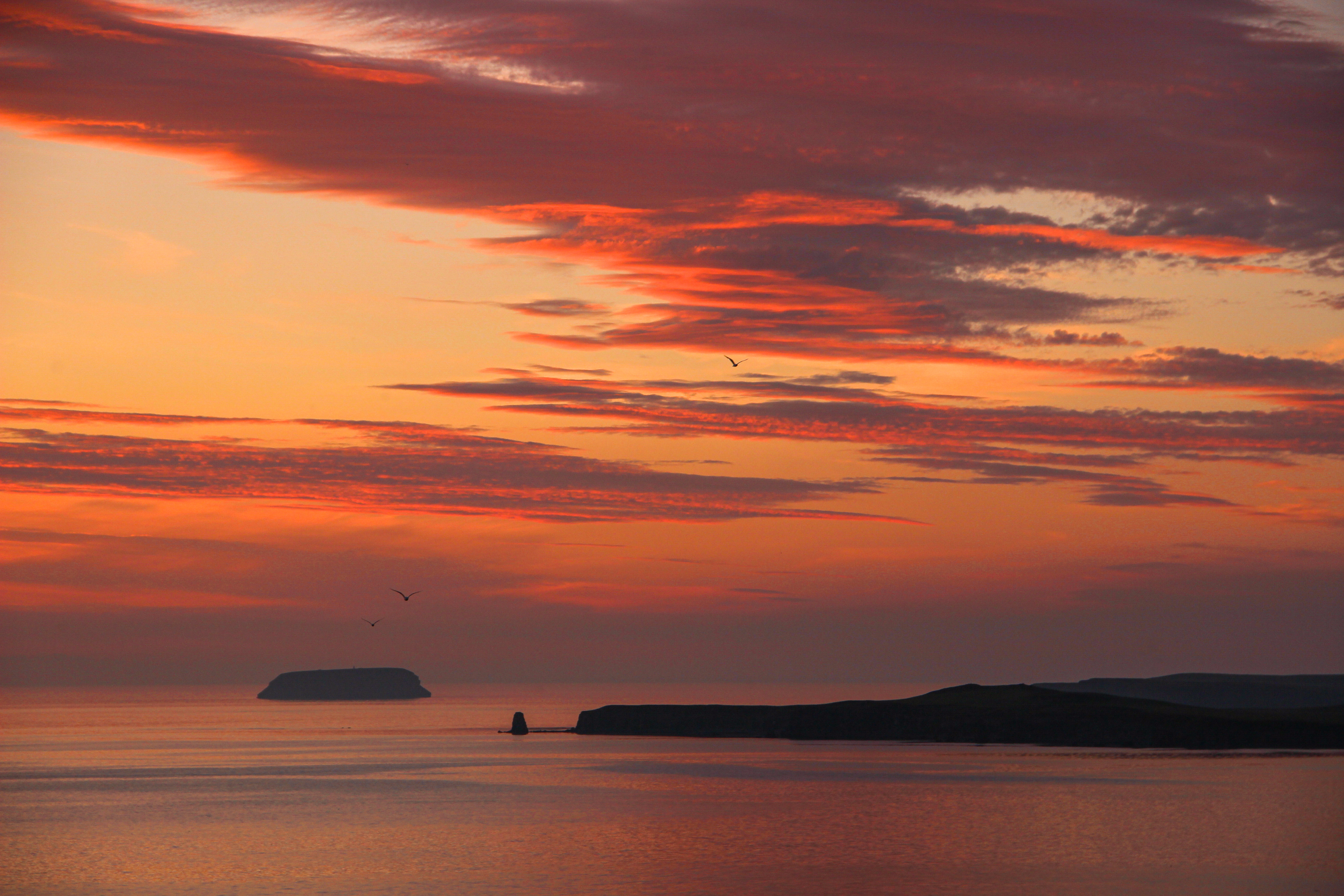 OF SPARKLING TAILS AND PINK MOUNTAINS | Gentle Giants Whale Watching ...