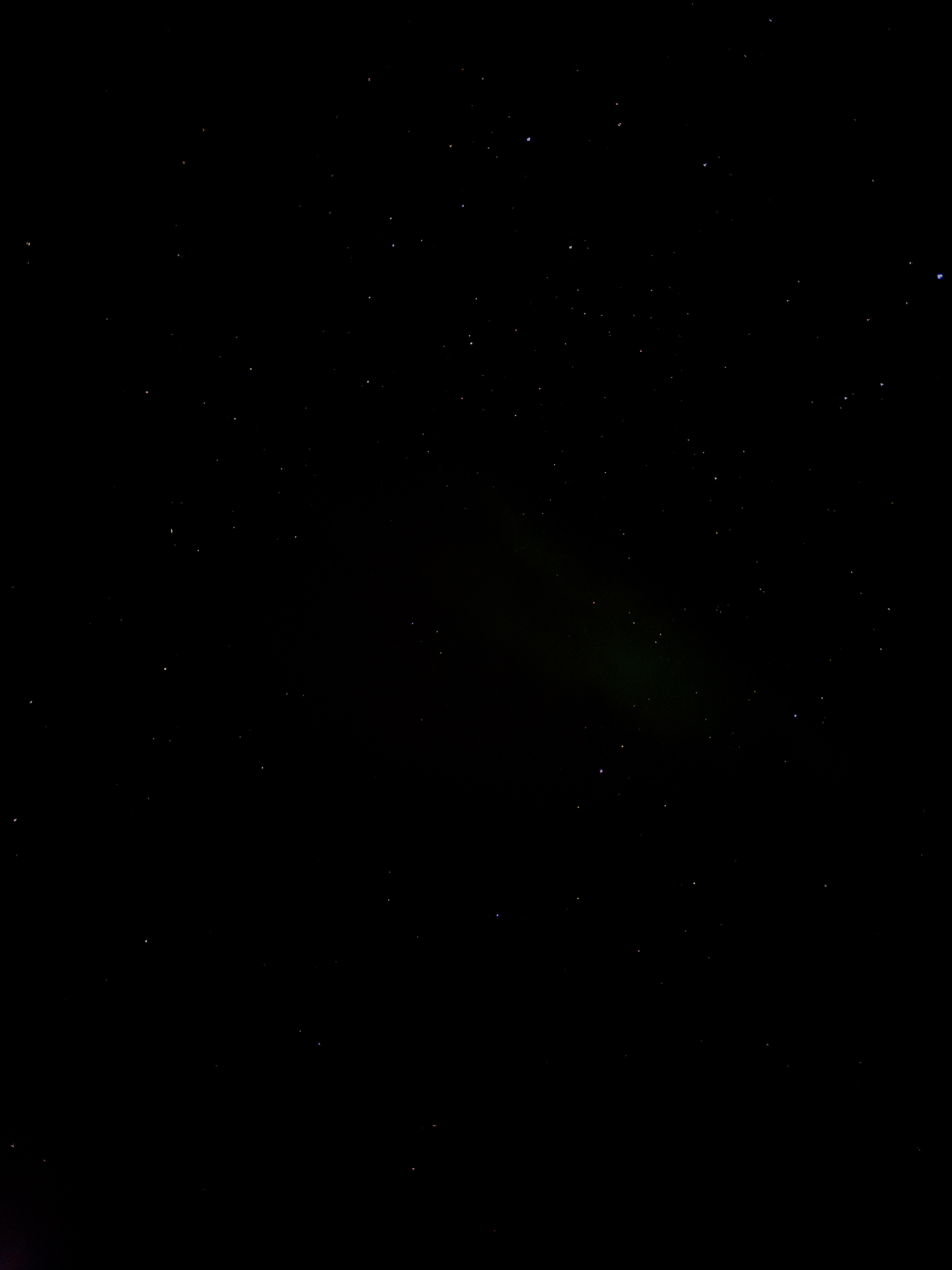 WHALES IN MYTHOLOGY: FROM STARS TO SEA | Gentle Giants Whale Watching ...